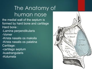 nasal polyp fix 2 koass haji tht 2016 pptx | PPT
