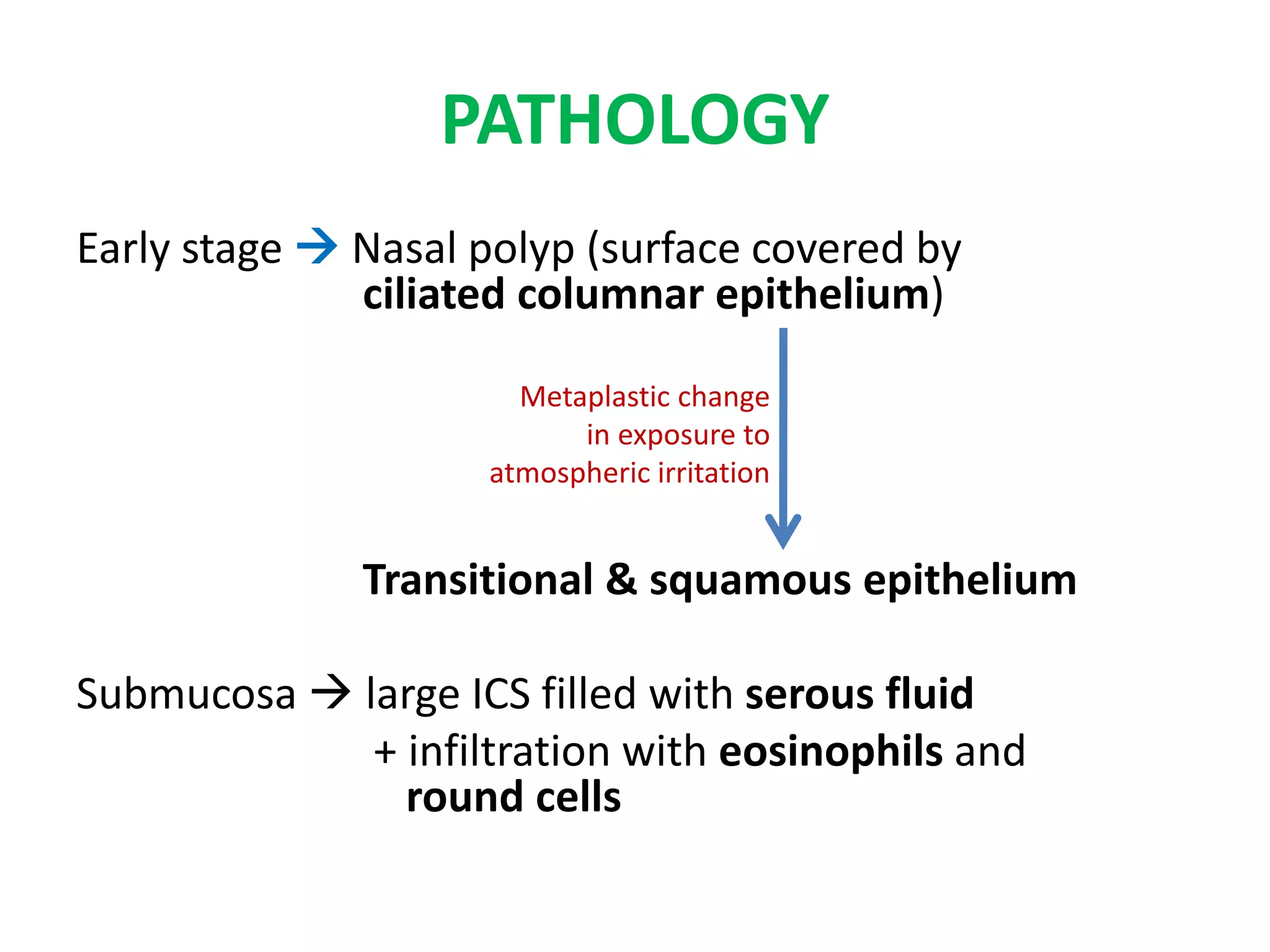 NASAL POLYPS | PPTX
