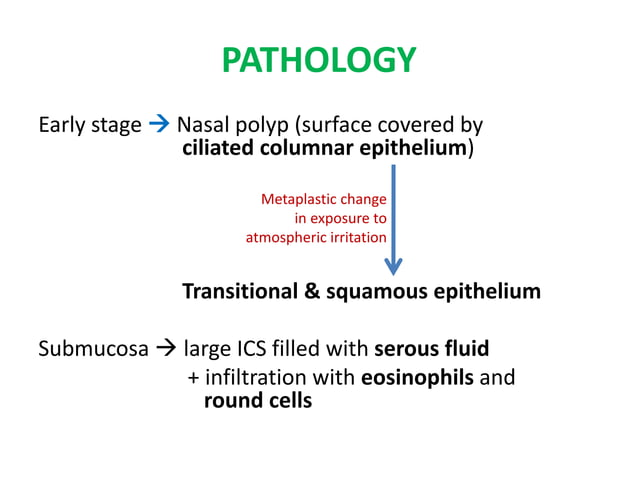 NASAL POLYPS | PPTX | Ear, Nose and Throat Conditions | Diseases and ...