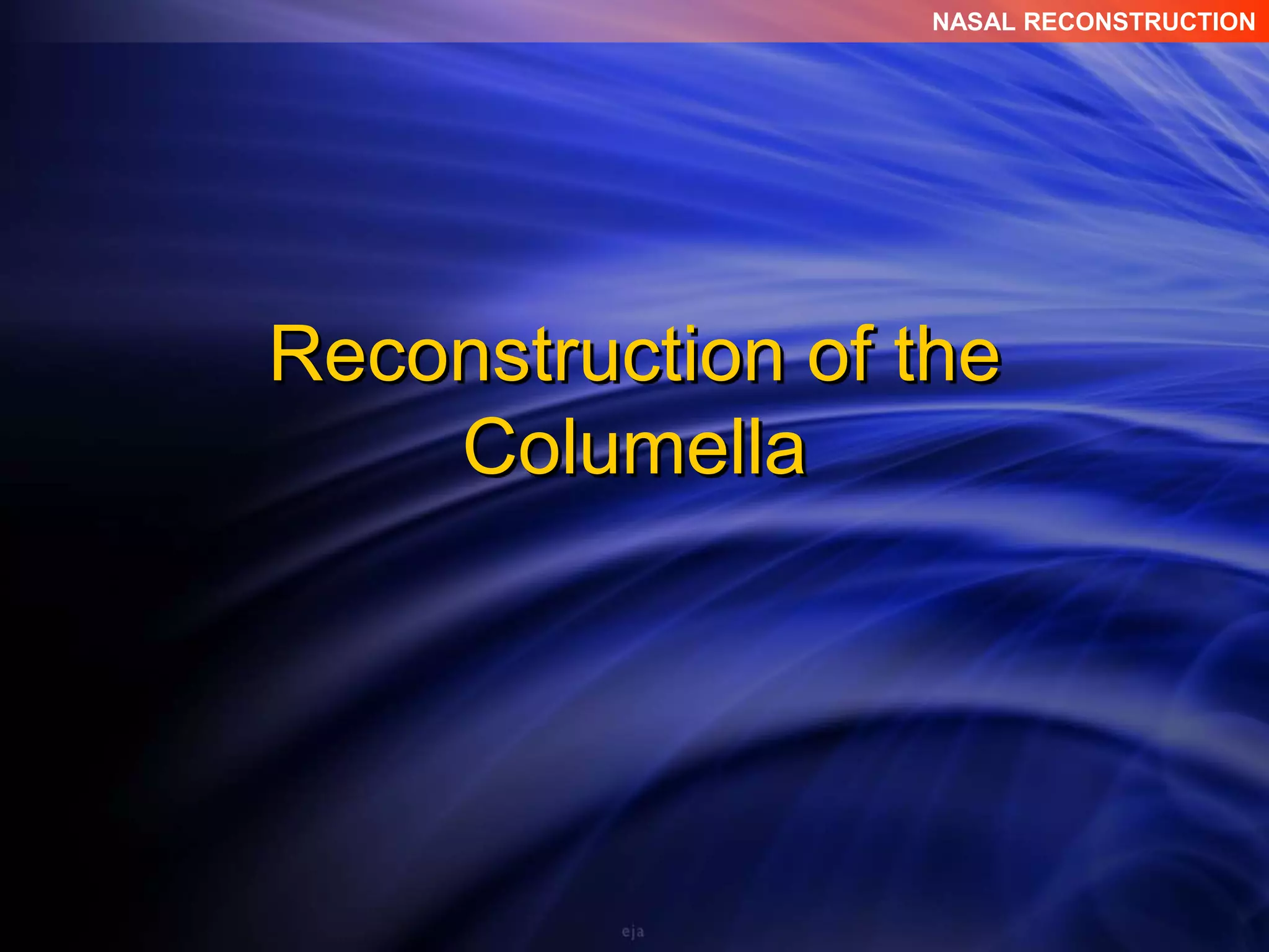 NASAL RECONSTRUCTION BY HUSSEIN ABULHASSAN | PPT