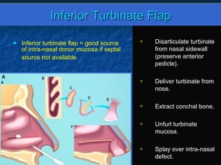Nasalreconstructiongrandrounds043009 | PPT