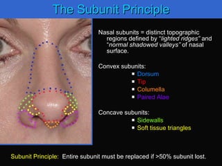 Nasalreconstructiongrandrounds043009 | PPT