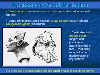 Nasalreconstructiongrandrounds043009 | PPT