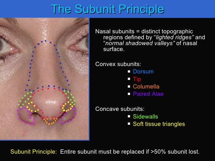 Nasalreconstructiongrandrounds043009