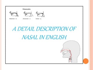 Nasals | PPTX