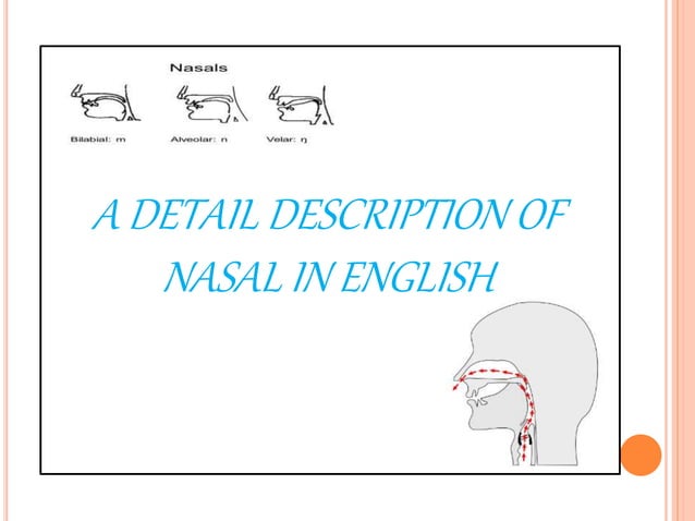 Nasals | PPTX