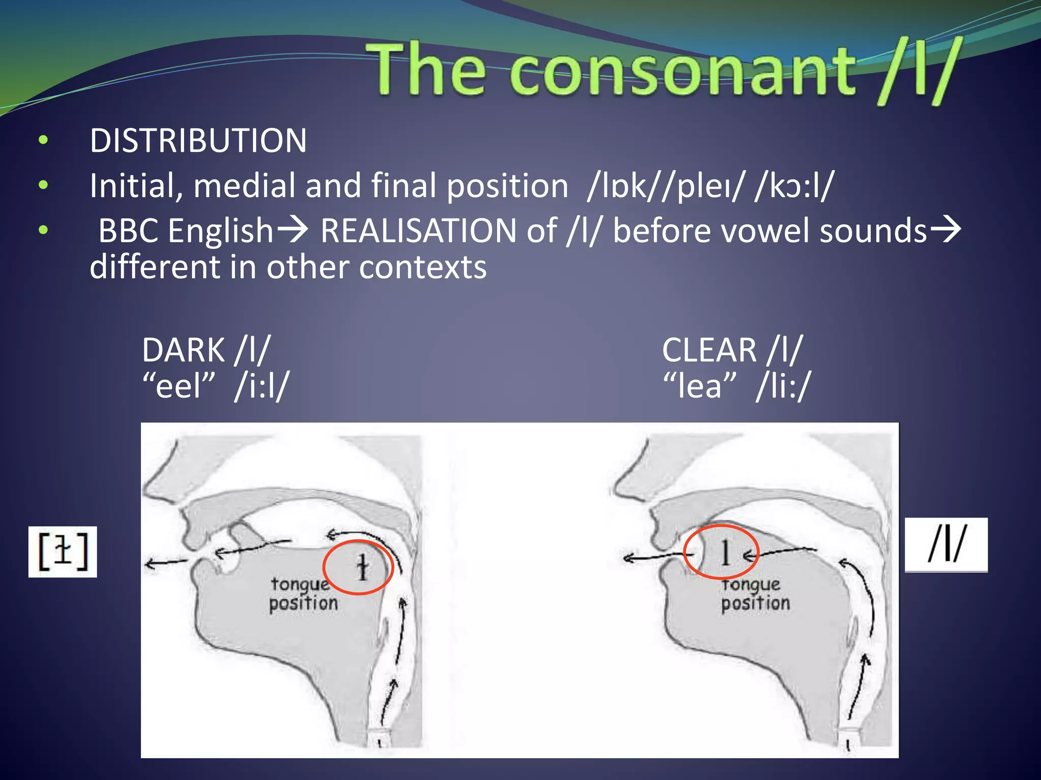 Nasals and other consonants | PPTX