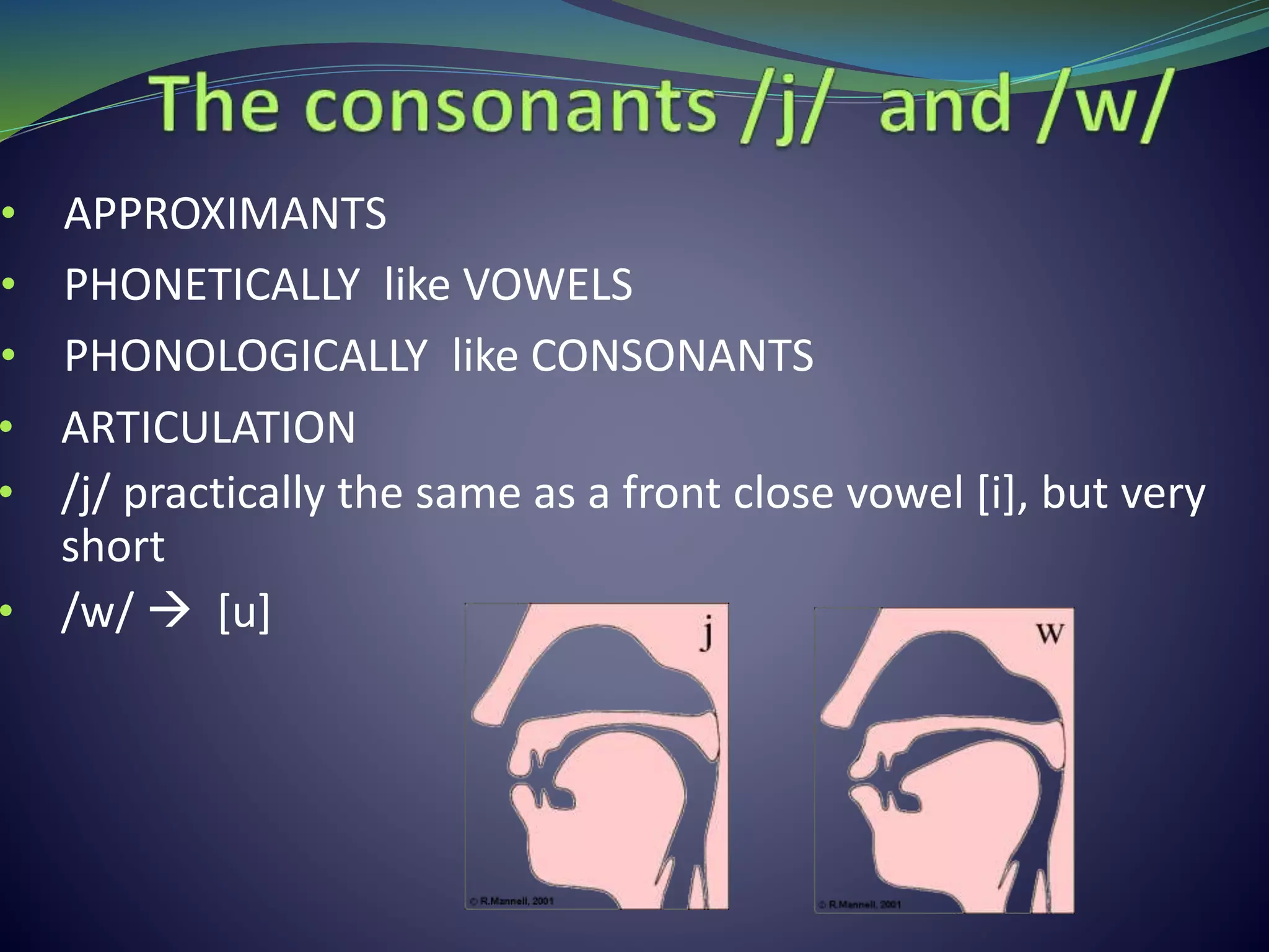 Nasals and other consonants | PPTX