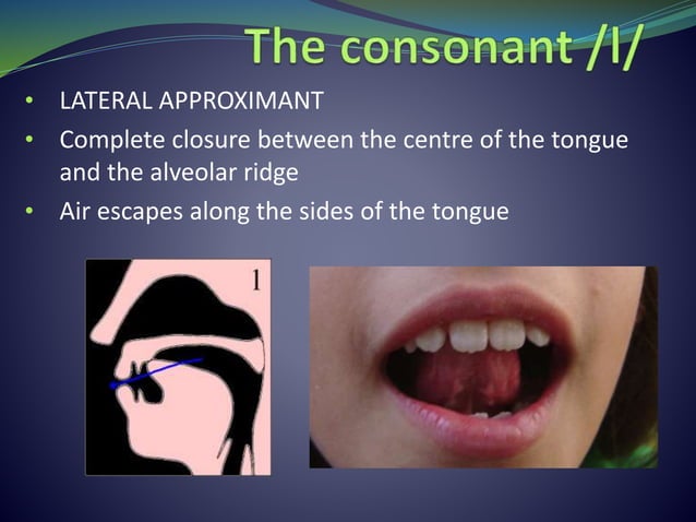 Nasals and other consonants | PPTX