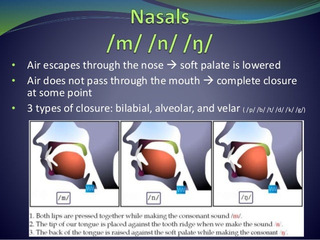 Nasals and other consonants