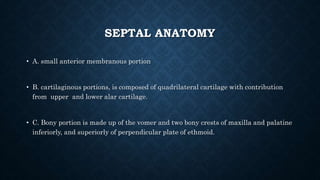 Nasal septal anatomy and septoplasty | PPTX | Ear, Nose and Throat ...