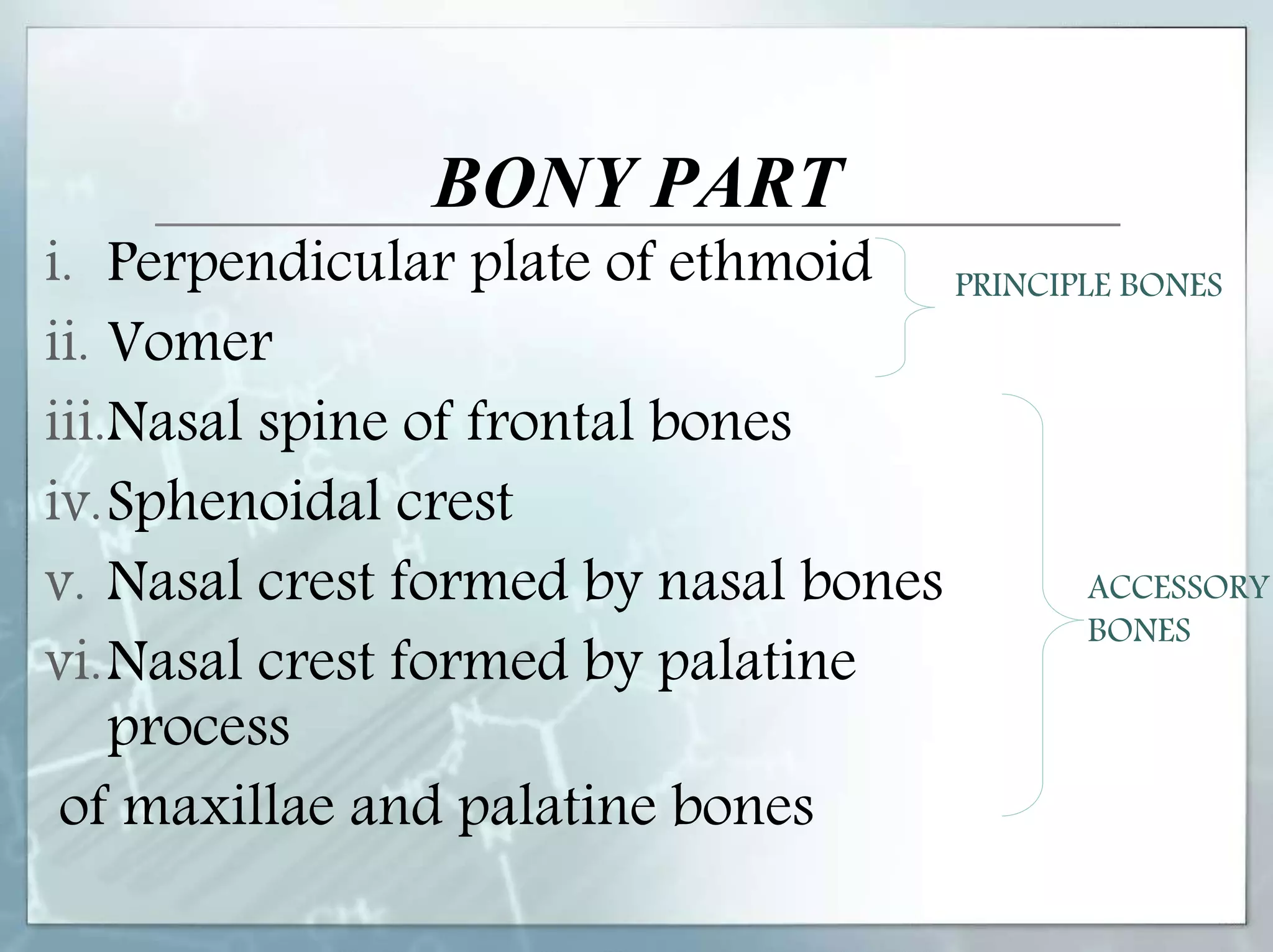 Nasal septum | PPTX