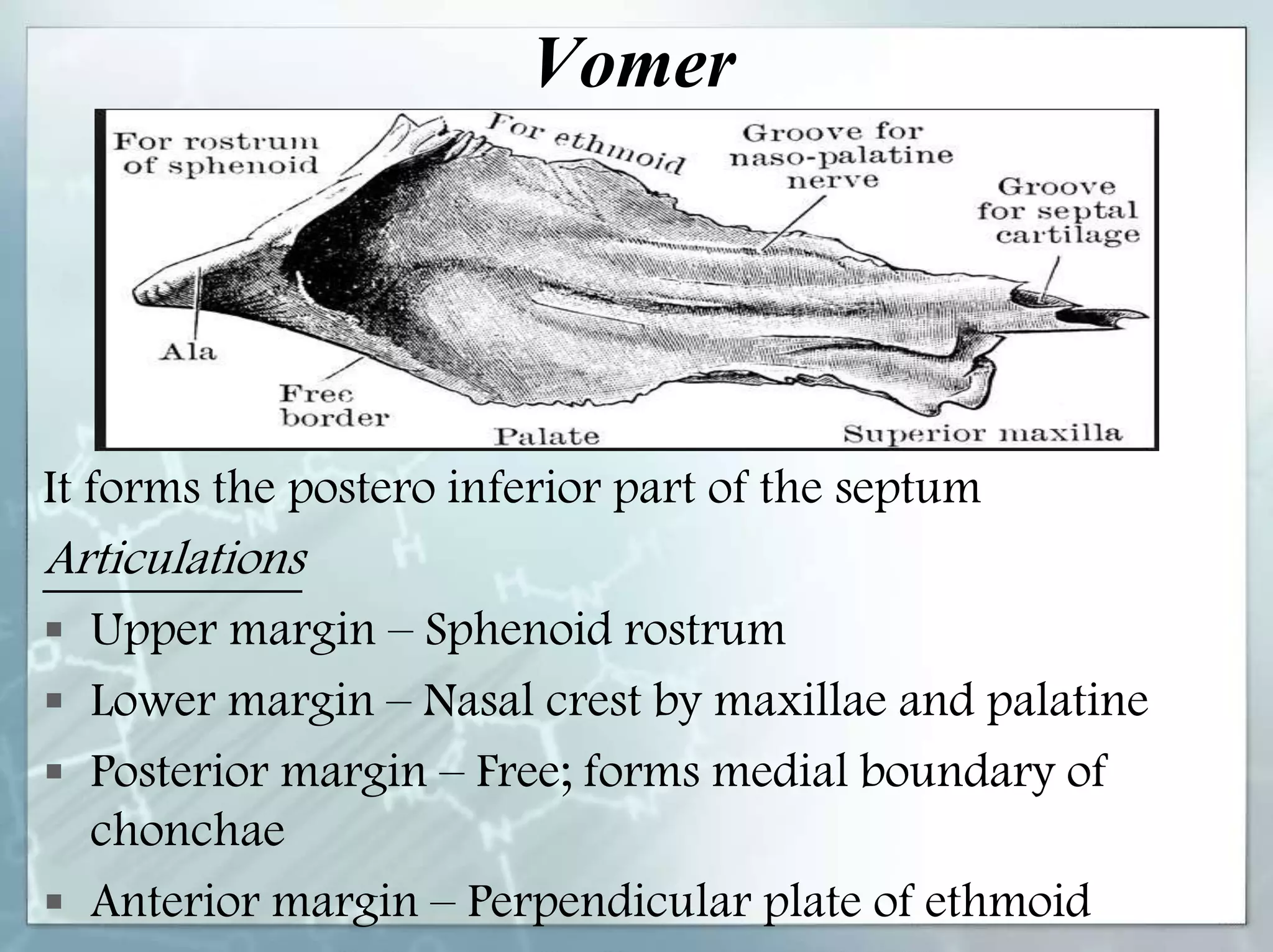 Nasal septum | PPTX