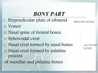 Nasal septum | PPTX