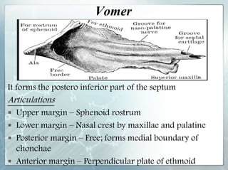 Nasal septum | PPTX