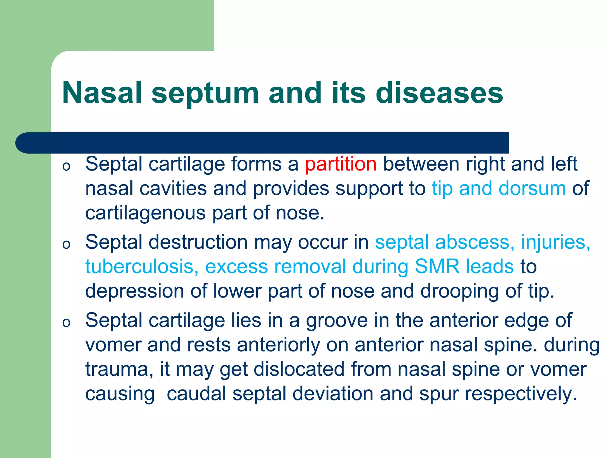 nasal septum.pptx
