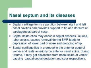 Nasal septum and its diseases | PPT