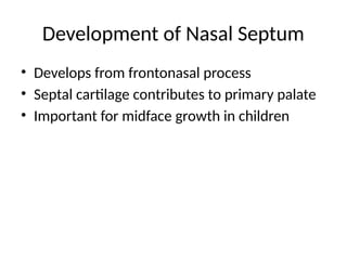 Nasal_Septum_ENT_Lecture_Detailed.pptxcv | PPTX