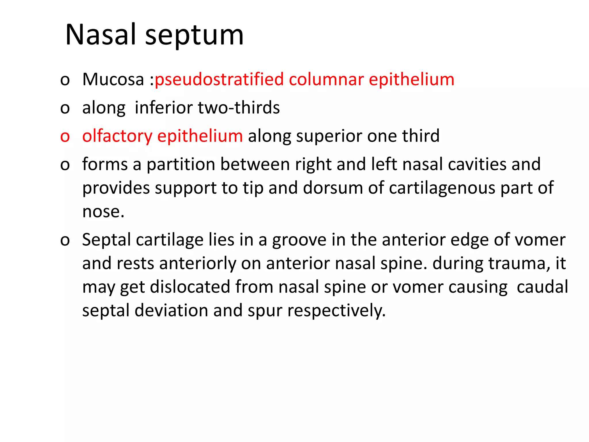 Nasal septum & septoplasty | PPTX