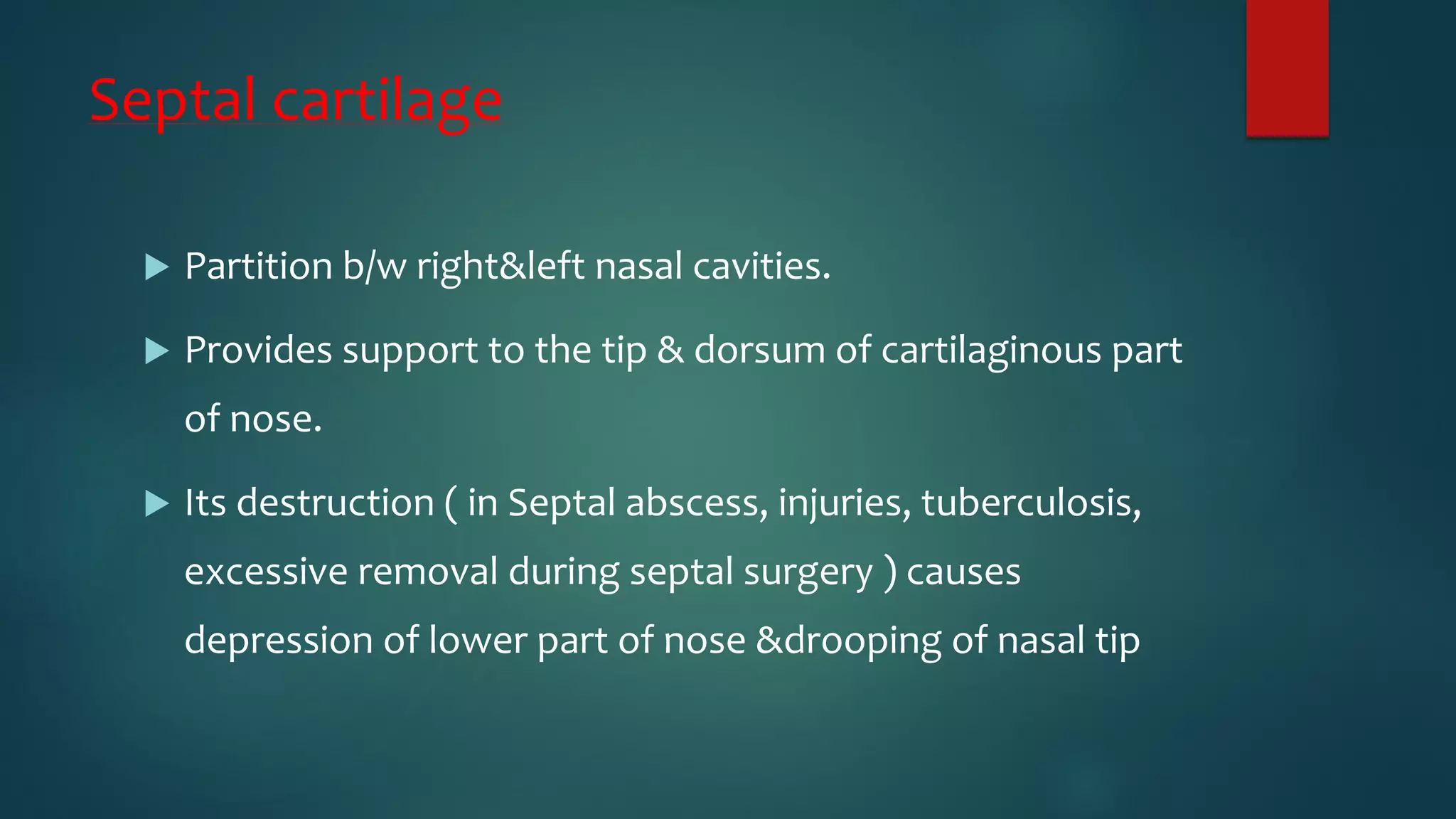 Nasal septum & its diseases | PDF