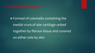 Nasal septum & its diseases | PDF