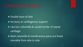 Nasal septum & its diseases | PDF