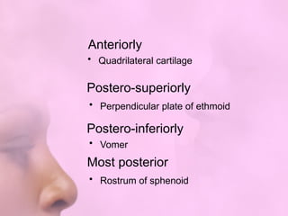 nasal septum new update from dhingra.pptx