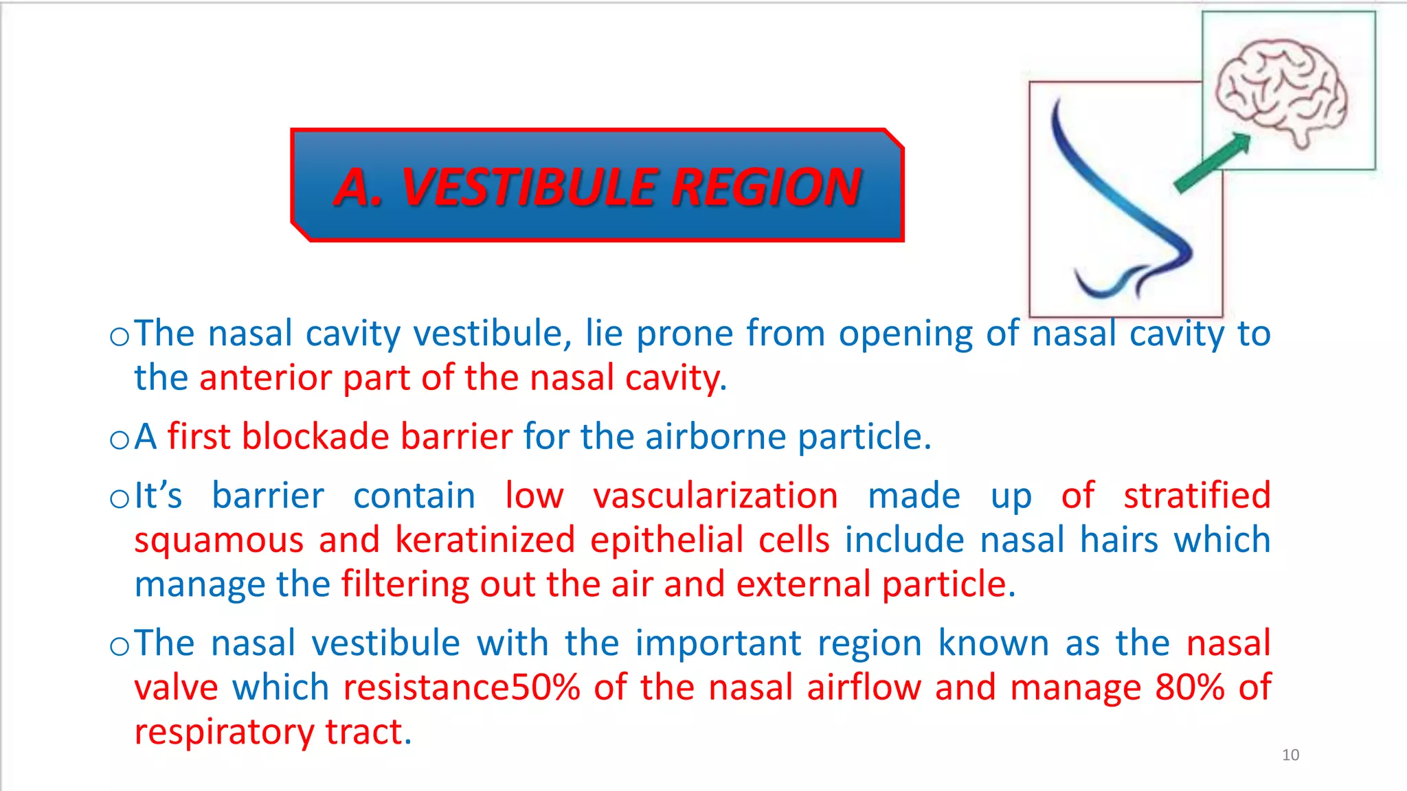 Nasal to brain | PPTX | Ear, Nose and Throat Conditions | Diseases and ...