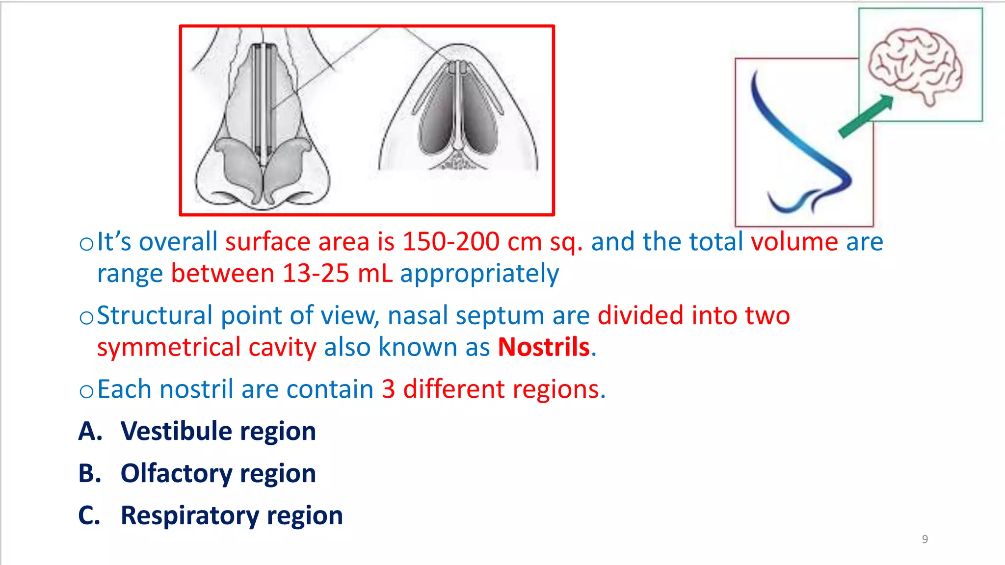 Nasal to brain | PPTX