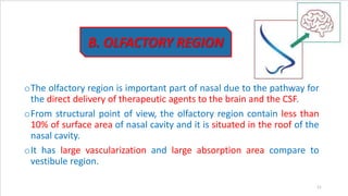 Nasal to brain | PPTX | Ear, Nose and Throat Conditions | Diseases and ...
