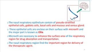 Nasal to brain | PPTX