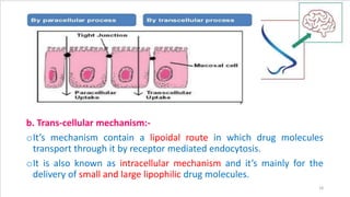 Nasal to brain | PPTX | Ear, Nose and Throat Conditions | Diseases and ...