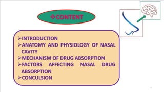 Nasal to brain | PPTX | Ear, Nose and Throat Conditions | Diseases and ...