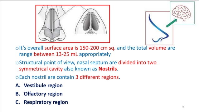Nasal to brain | PPTX | Ear, Nose and Throat Conditions | Diseases and ...