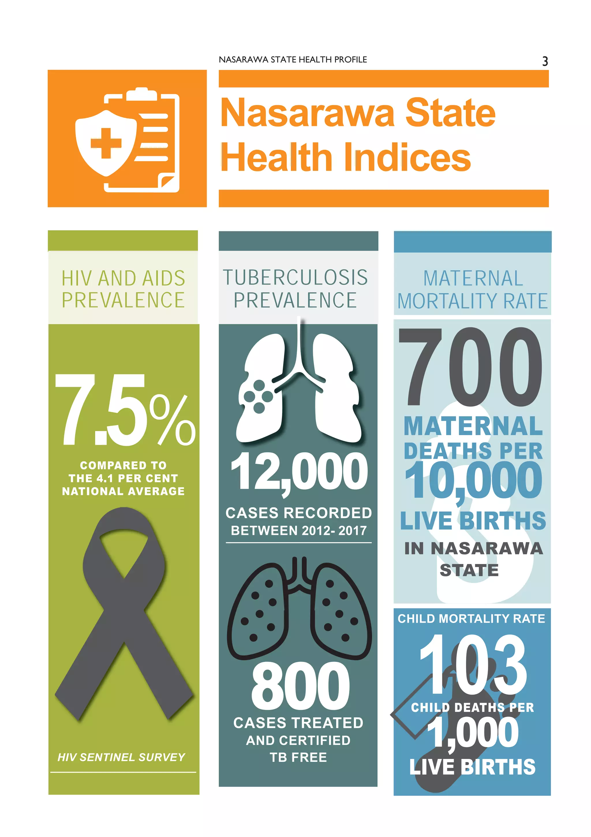 Nasarawa State Health Profile - Nigeria | PDF