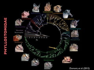 Wake up and smell the piper! Olfactory receptor repertoires reflect ...