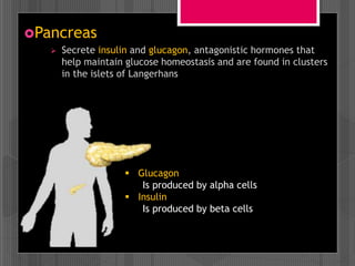hormones and endocrine system | PPTX