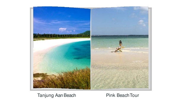 NAS Tour Guide in Lombok | PPTX