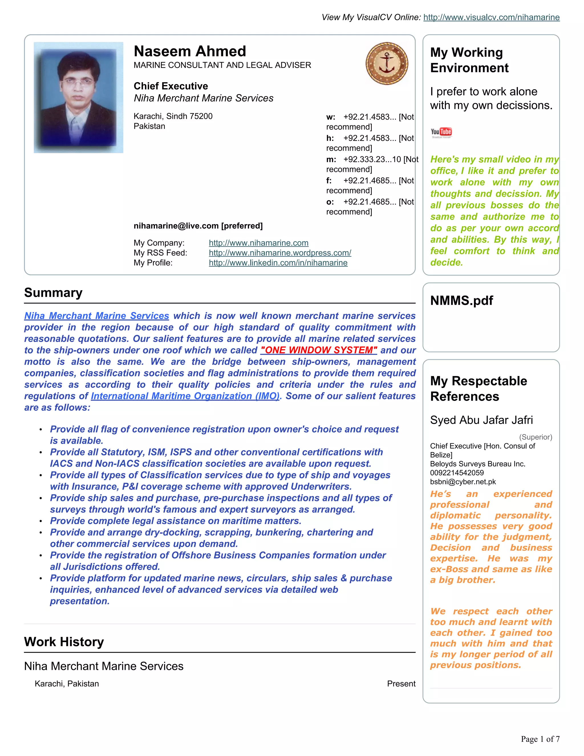 My Visual CV | PDF