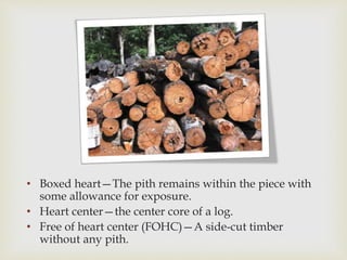 project on Timber and Wood | PPTX