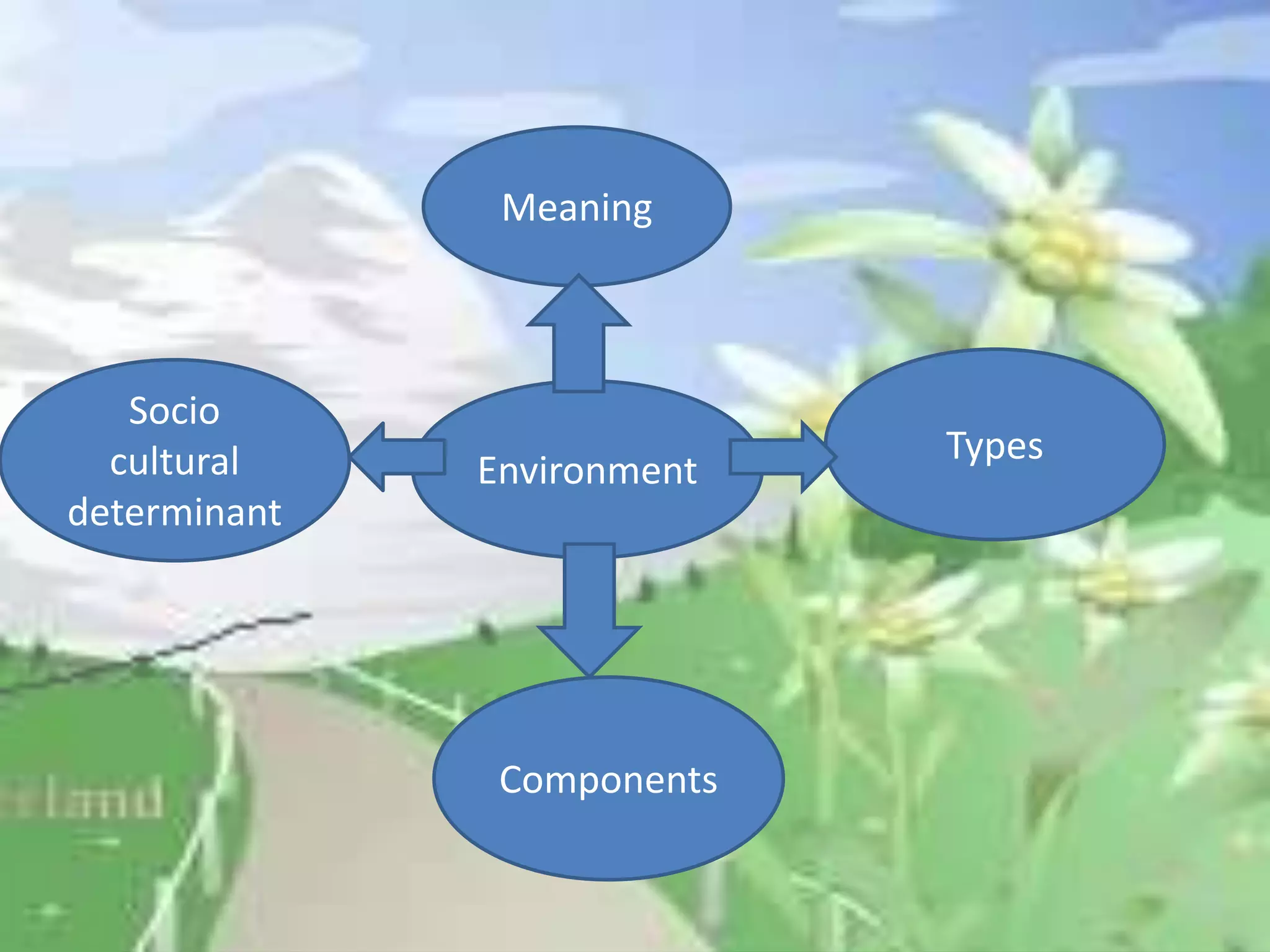 M.Ed EVS Topic- Imortance,Types of Environment | PPTX