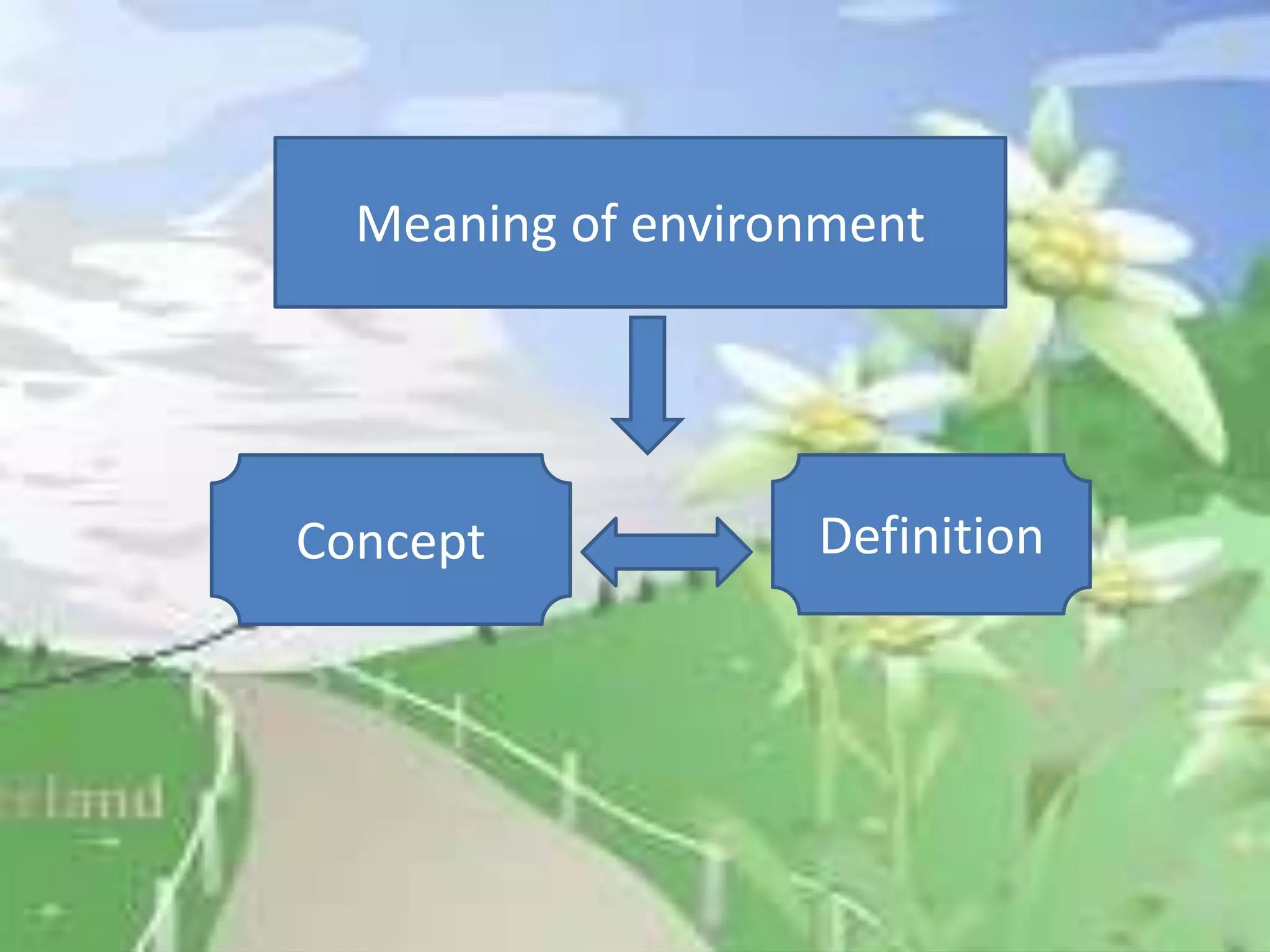 M.Ed EVS Topic- Imortance,Types of Environment | PPTX