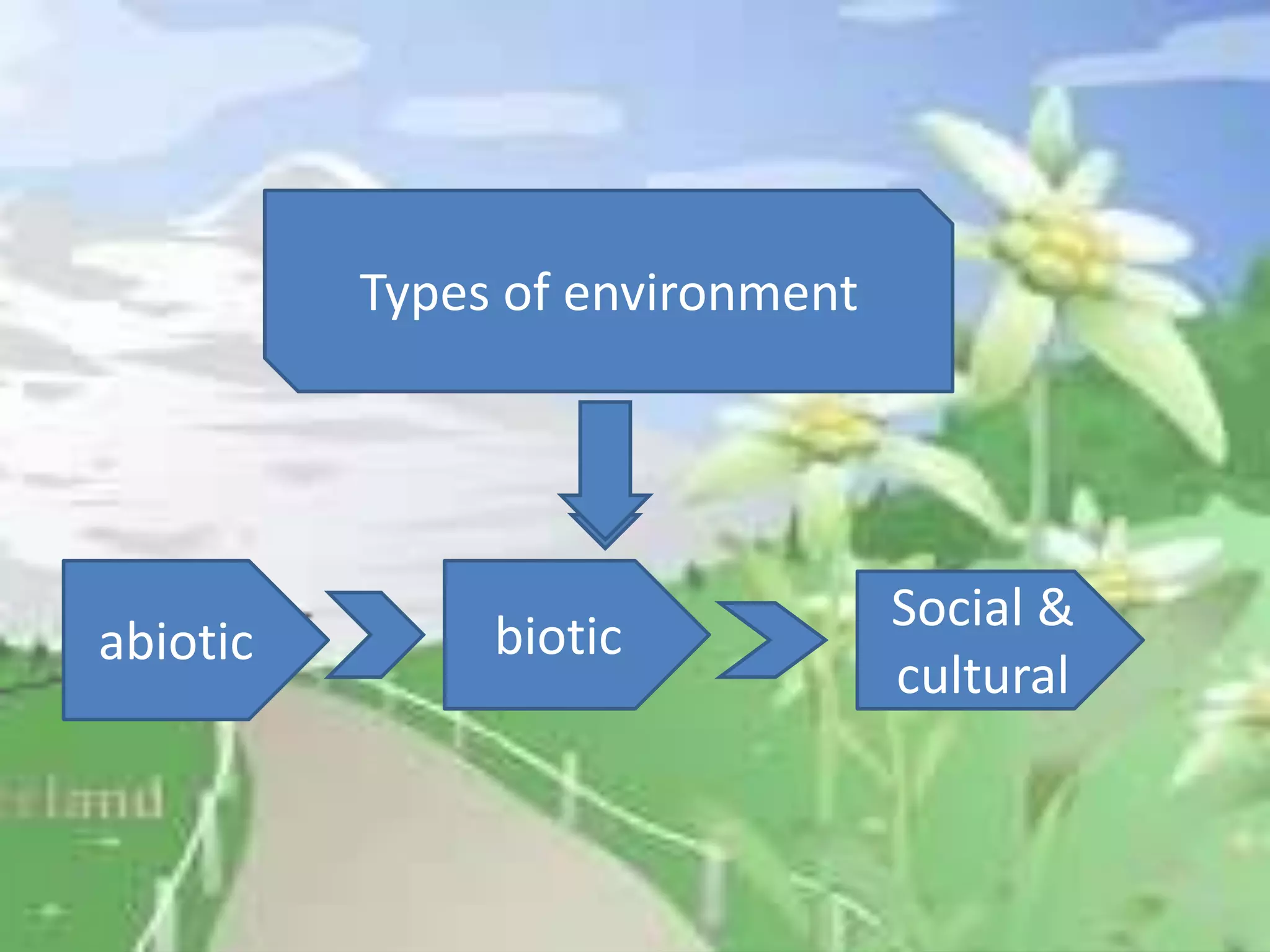 M.Ed EVS Topic- Imortance,Types of Environment | PPTX