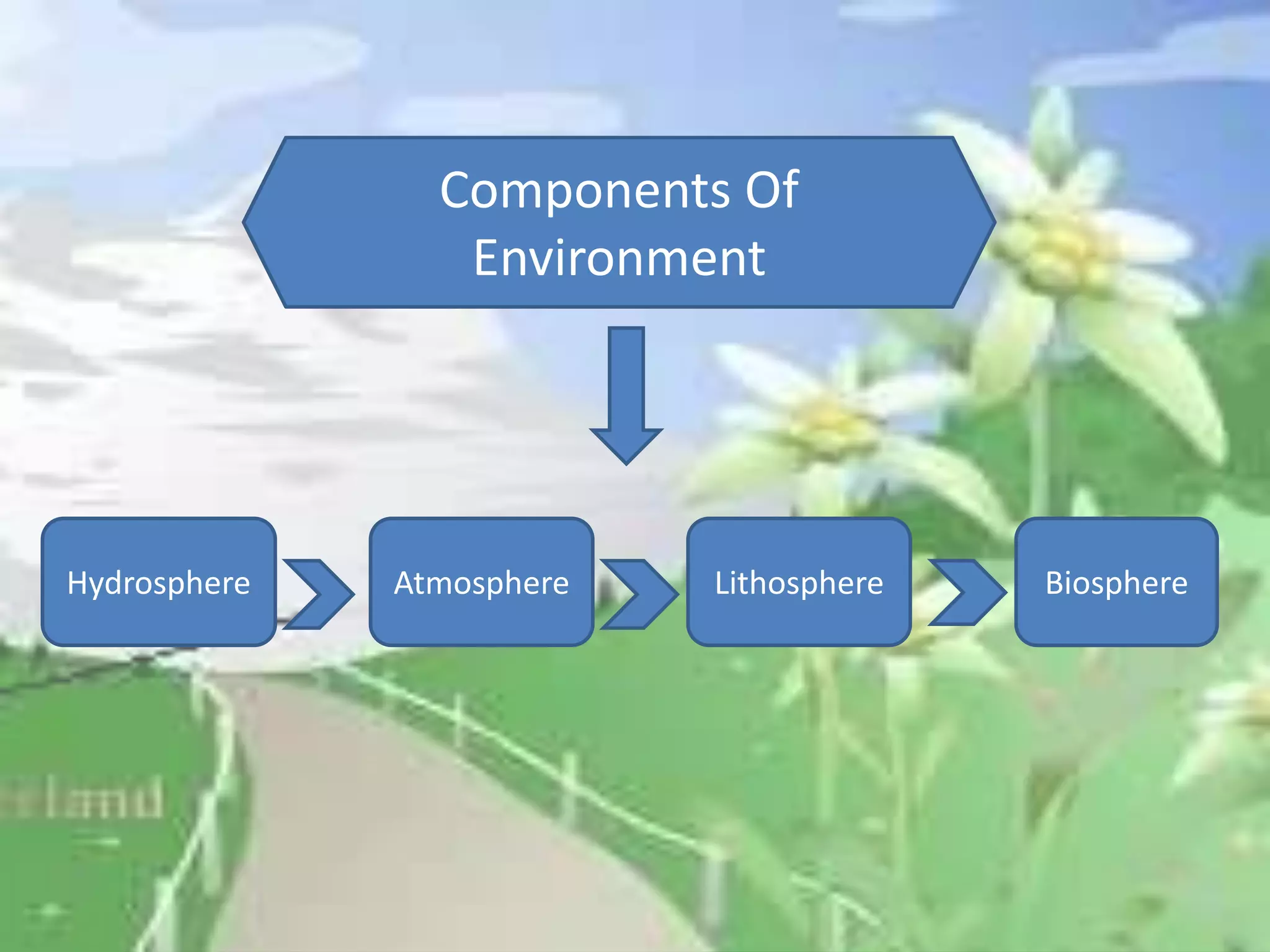 M.Ed EVS Topic- Imortance,Types of Environment | PPTX