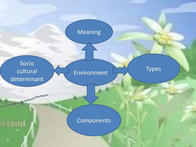 M.Ed EVS Topic- Imortance,Types of Environment | PPTX | Geography | Science