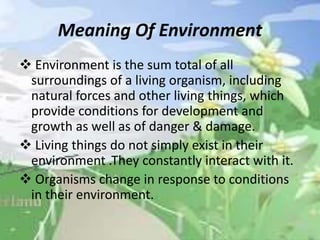 M.Ed EVS Topic- Imortance,Types of Environment | PPTX