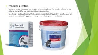 Nasir | PPTX | Birdwatching | Hobbies & Interests