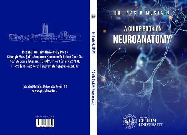 Nasir Mustafa Neuroanatomy BOOK.pdf
