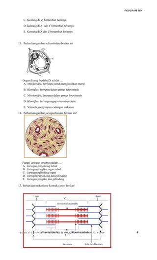 Soal Tryout Biologi Paket A | DOC