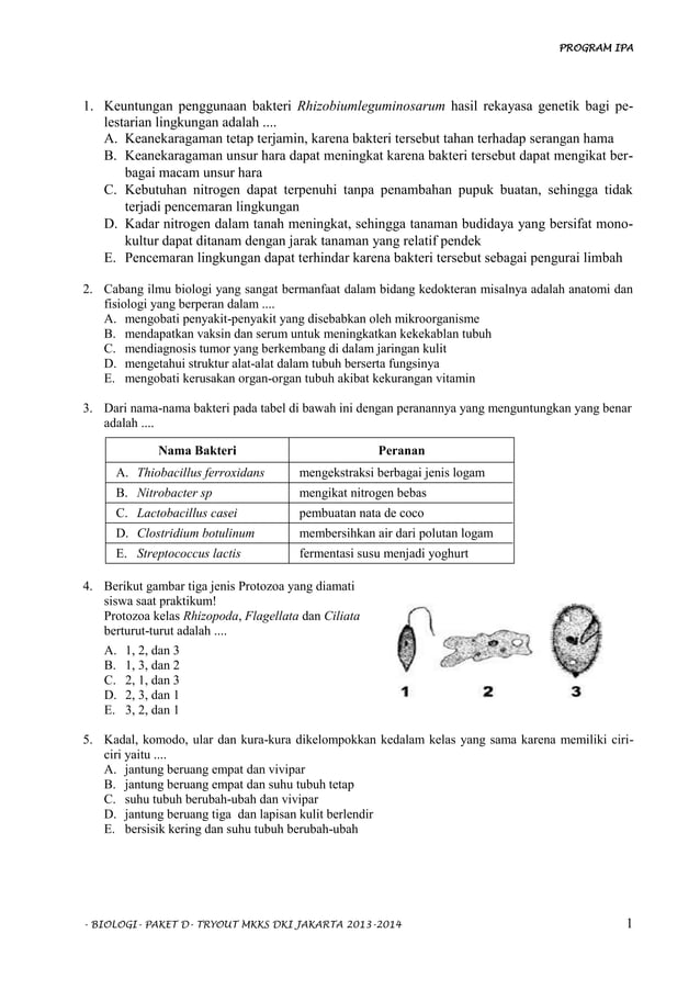 TRYOUT 4 BIOLOGI D 2014 | DOCX